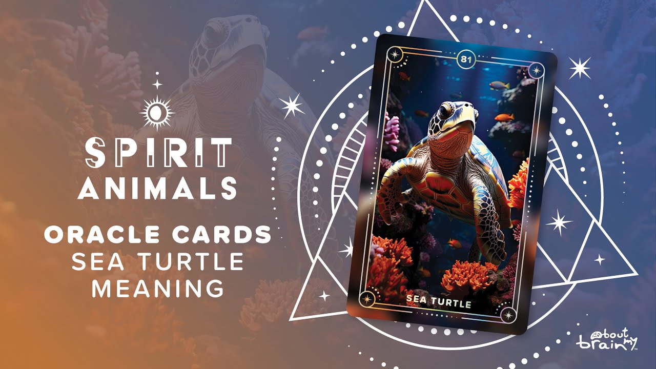 The Hidden Wisdom of Sea Turtle Spirit Animal - YouTube