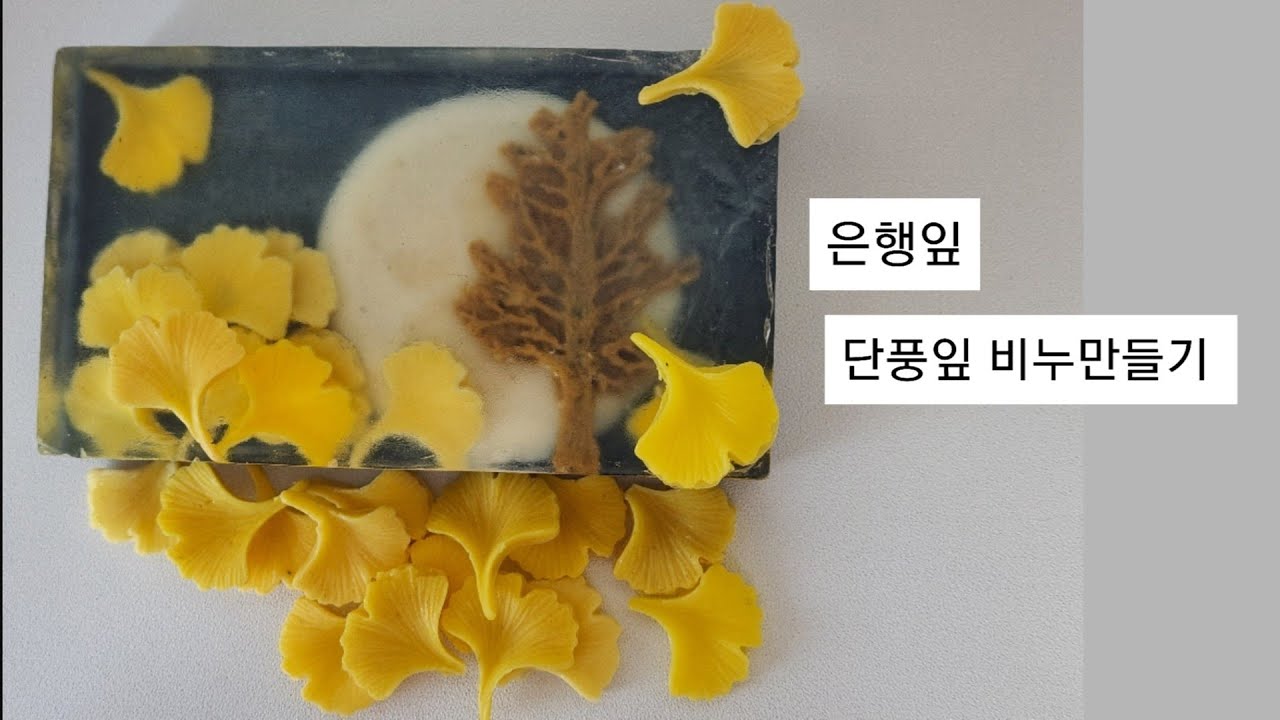 은행잎 비누만들기/단풍잎 비누만들기 Making Ginkgo leaf soap/maple leaf soap - YouTube