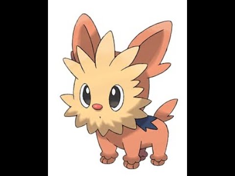 Evolution of Lillipup into Herdier - YouTube