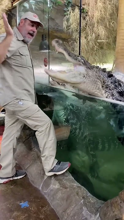Alligator Almost Chomps My Hand Off! 😱🐊 - YouTube