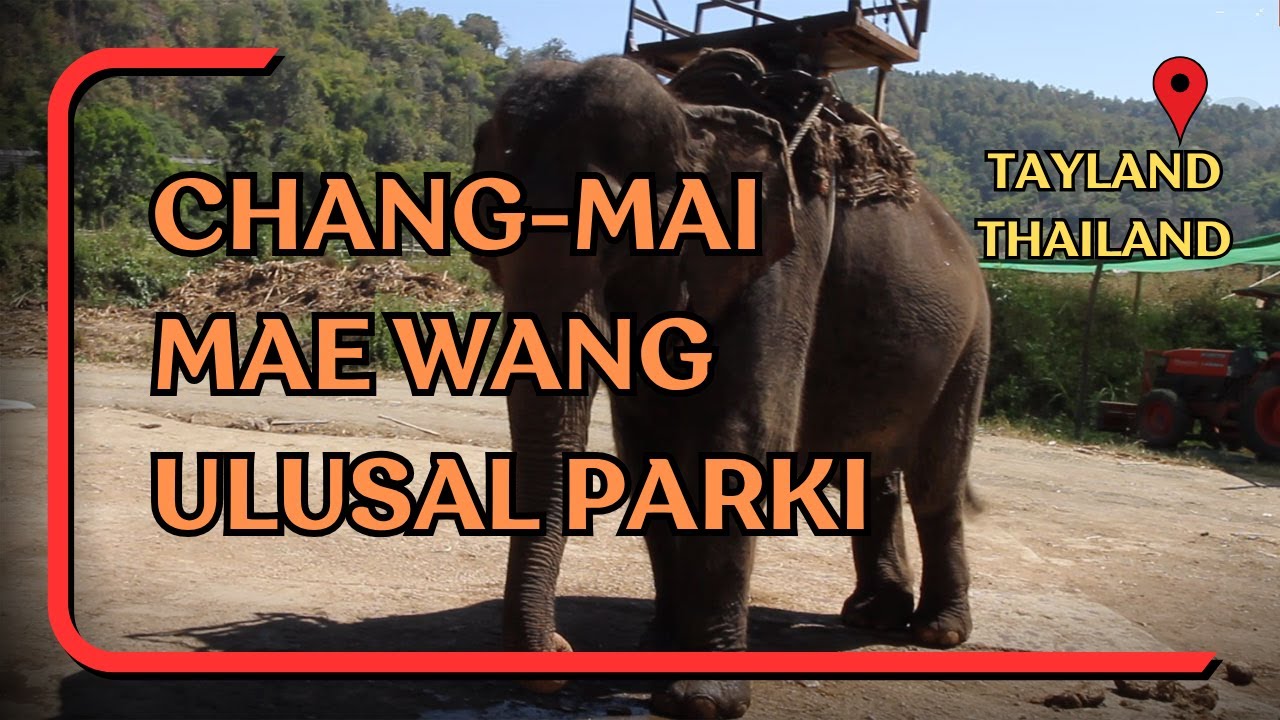 MAE WANG ULUSAL PARKINDA FİLLERLE TUR | TAYLAND |CHANG MAI | SİNAN ABİ ...