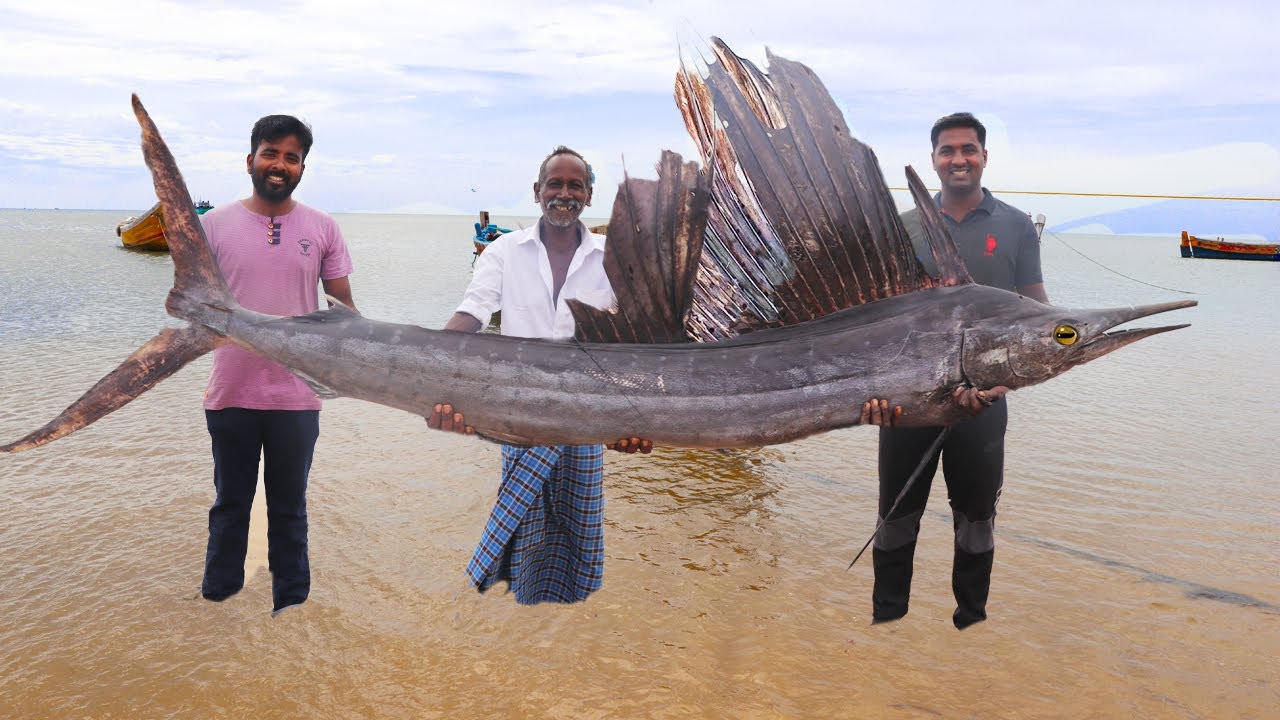 75Kg GIANT KOLA FISH CURRY | GAR FISH CUTTING SKILL | MAYIL MEEN ...