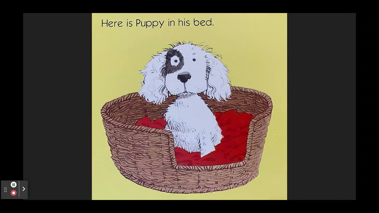 Find the Puppy, Stephen Cartwright, Toddler Book - YouTube