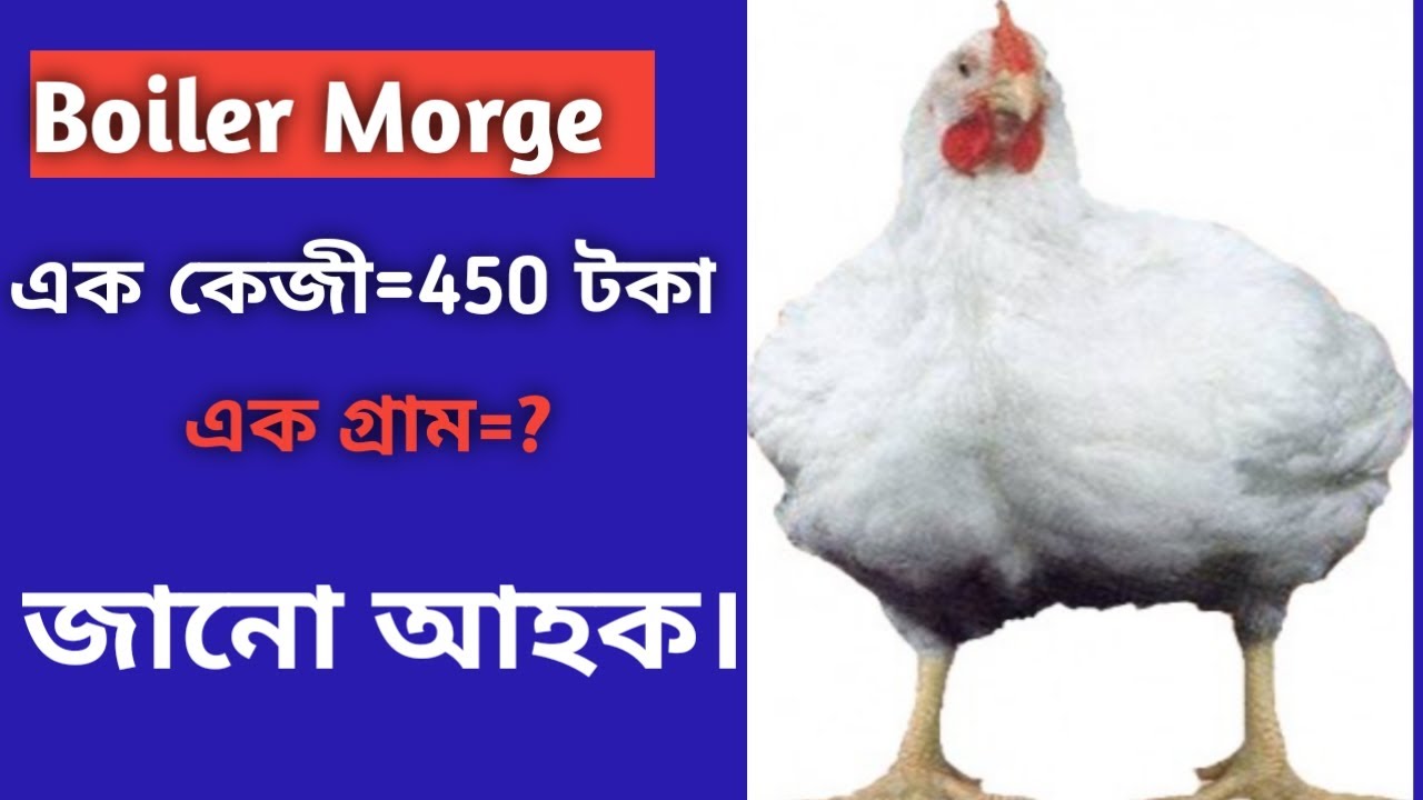Boiler Murgi//অহা আমি শিকো বইলাৰৰ হিচাপ। - YouTube