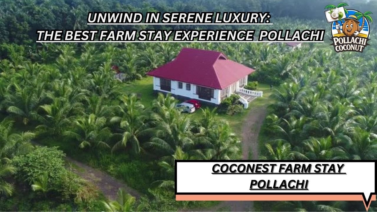 Unwind in Serene Luxury: The Best Farm Stay Experience Pollachi#travel ...