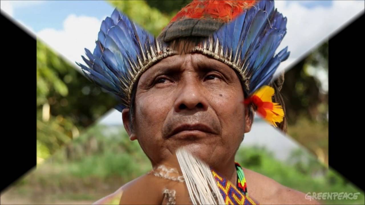 ÍNDIOS DO ALTO XINGU E TAPAJÓS - YouTube