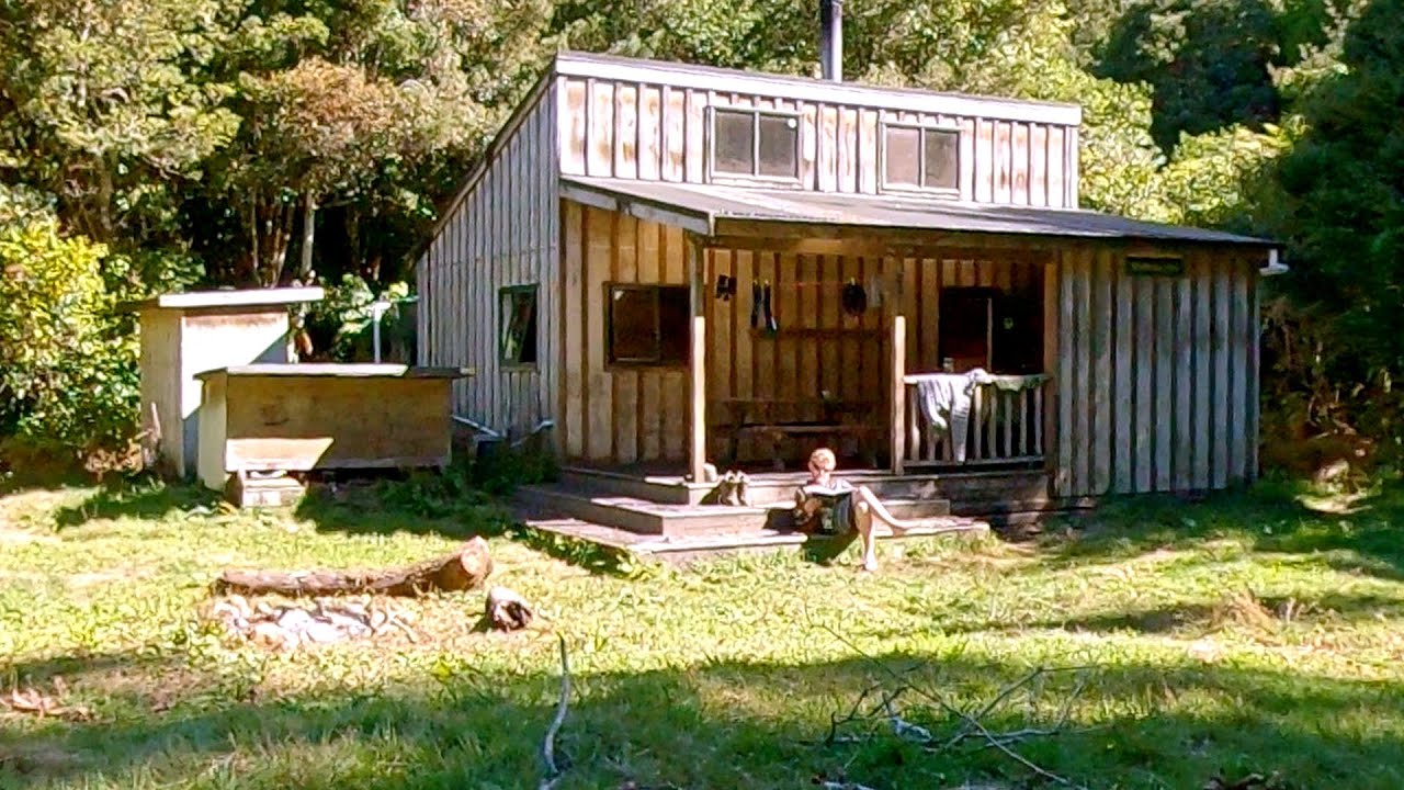 Waihaha Hut, Pureora Forest Park. Hike and Camp in a Hunters Hut in New ...