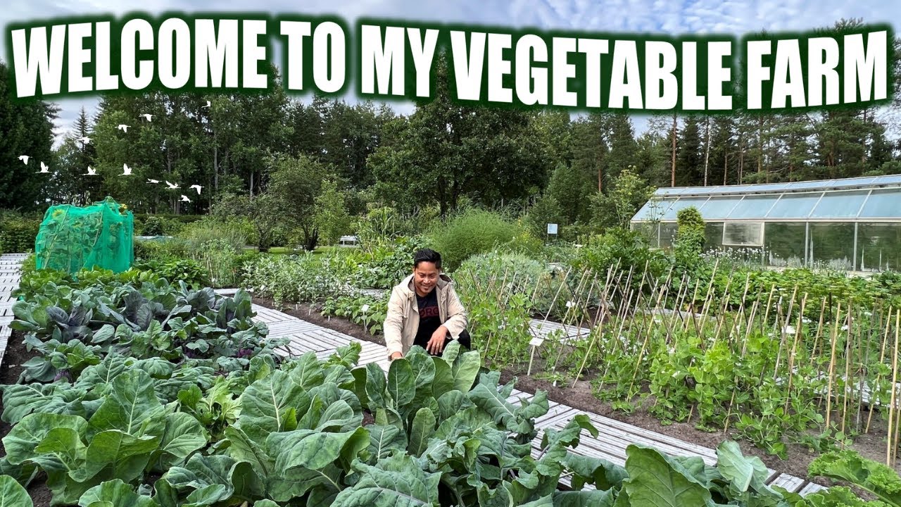 VEGETABLE FARM TOUR!!! BIG and Healthy Vegetables, Herbs and Fruits ...