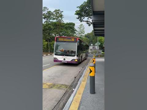 Here you are… Bus 168 - YouTube