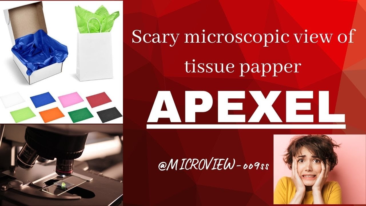 Scary microscopic view of tissue paper 😱#microscope #views #tissuepaper ...