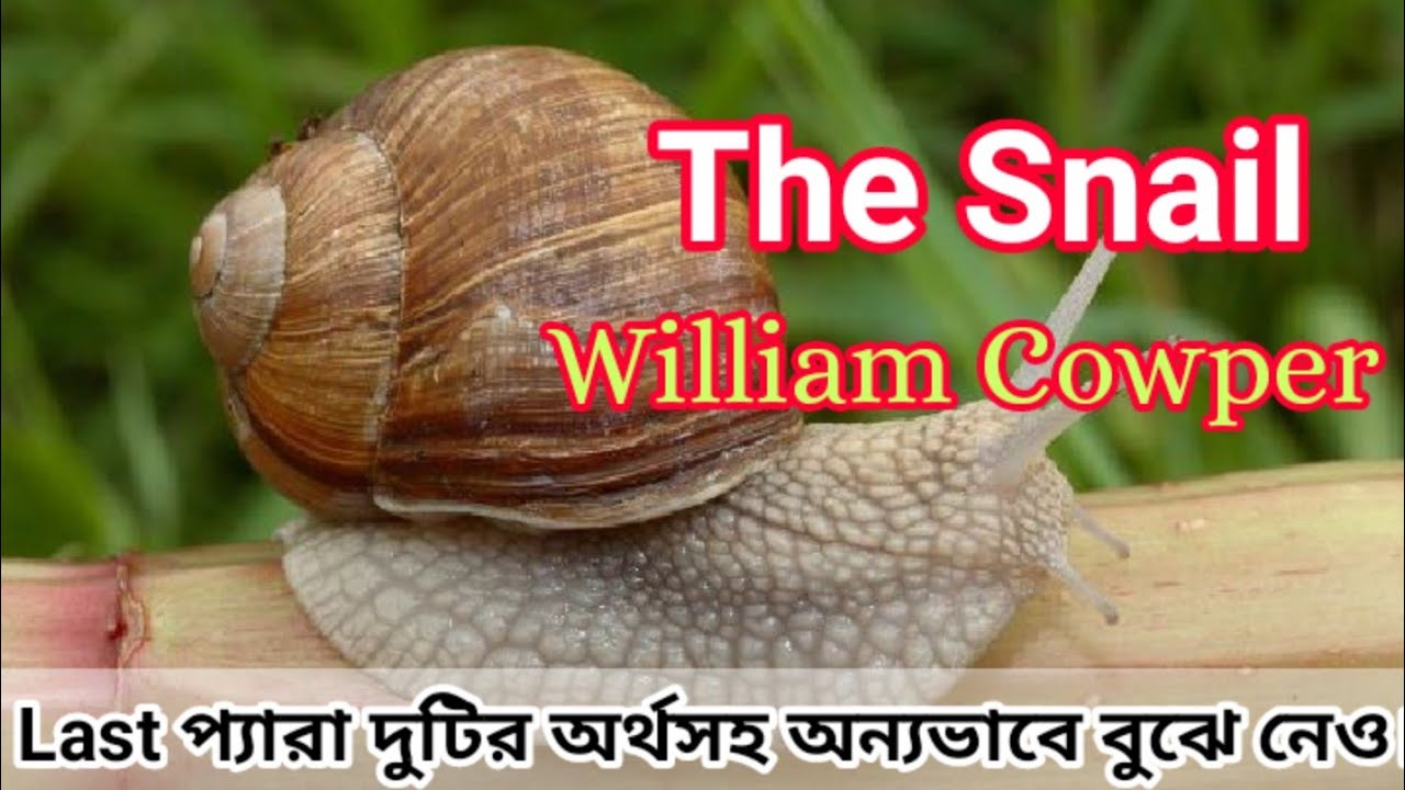 The Snail Poem Explanation In Bengali Pdf | Sitedoct.org