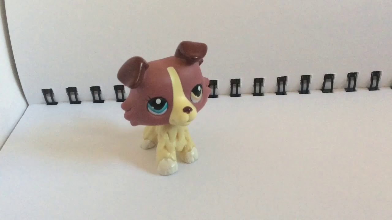 Lps stars ( new series ) trailer 1 - YouTube