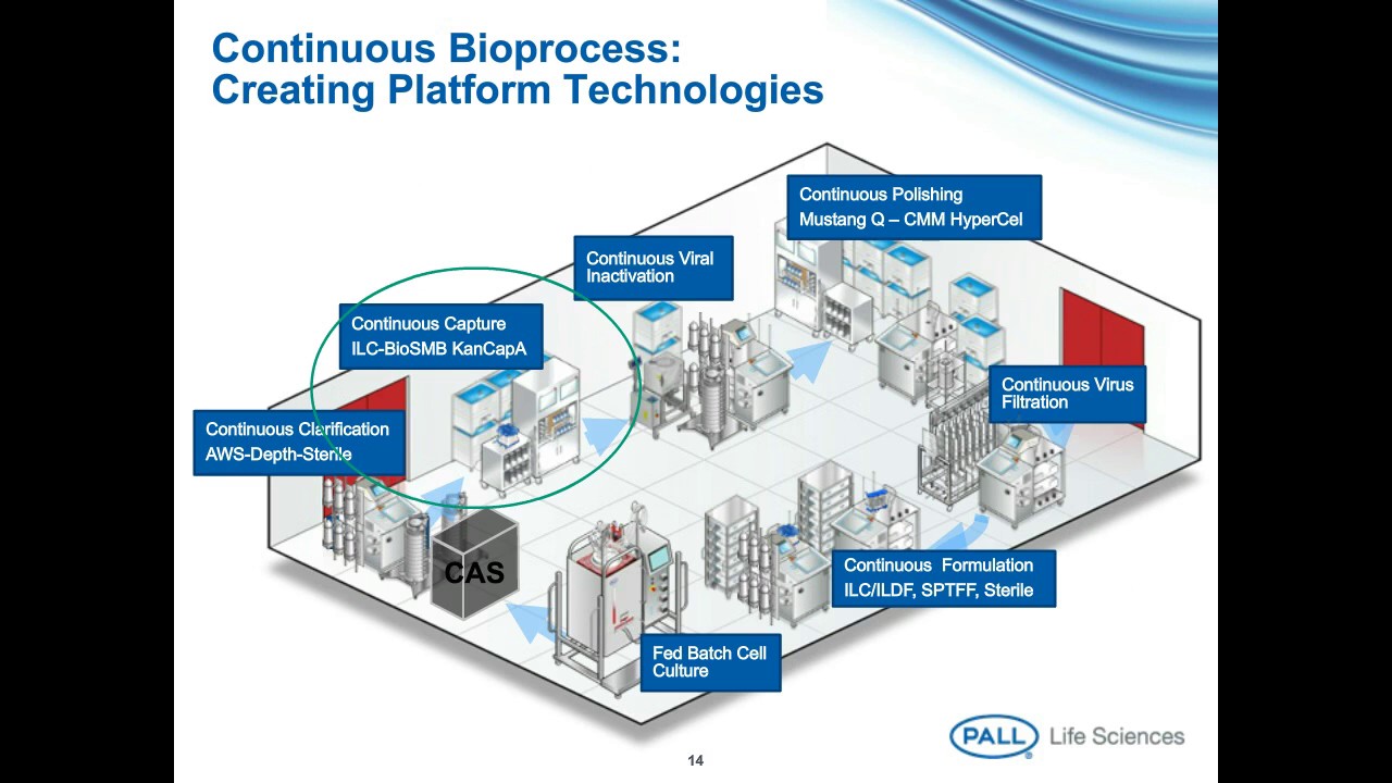 Continuous BioProcessing: Not a Revolution but an Evolution - YouTube