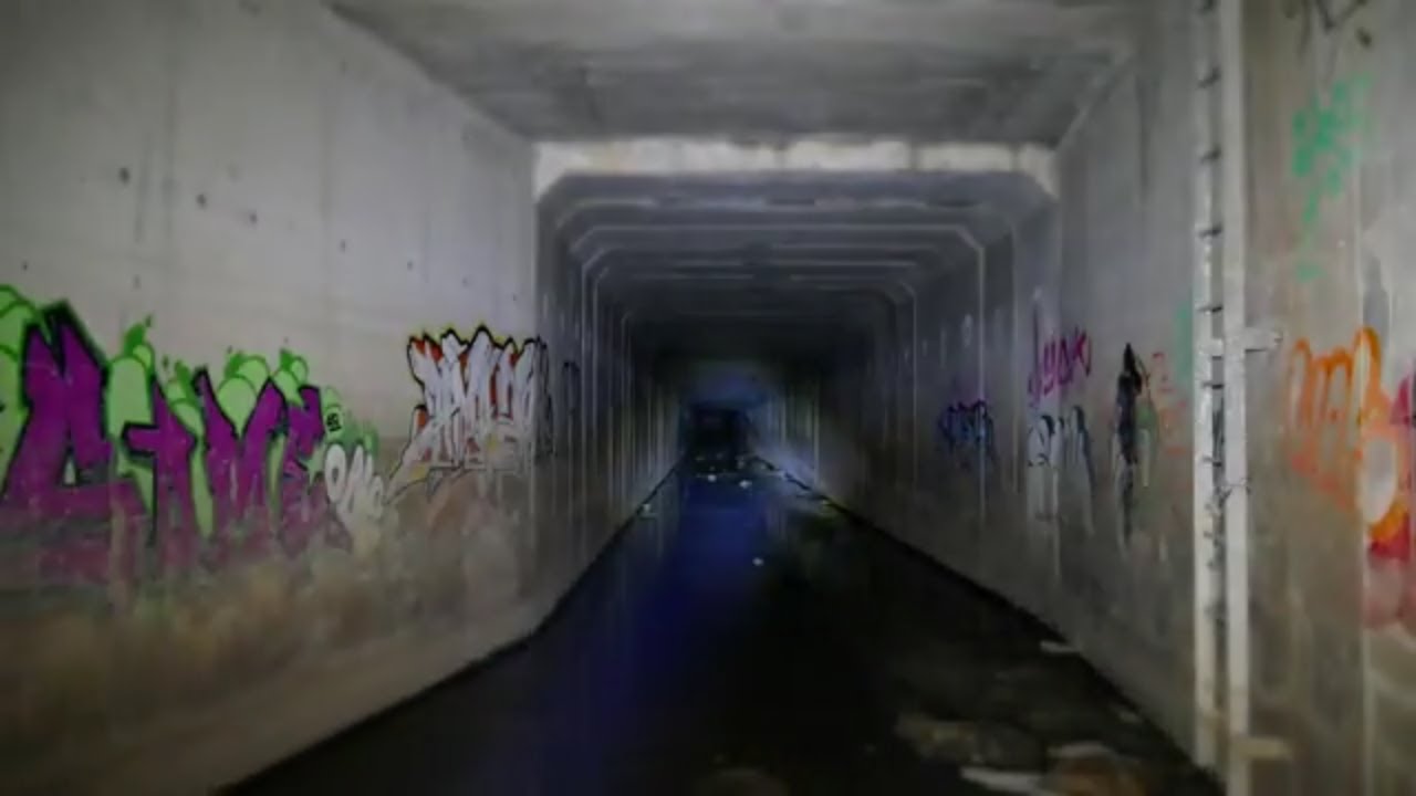 The exploration of the Brain Drain with Devils Donuts - YouTube