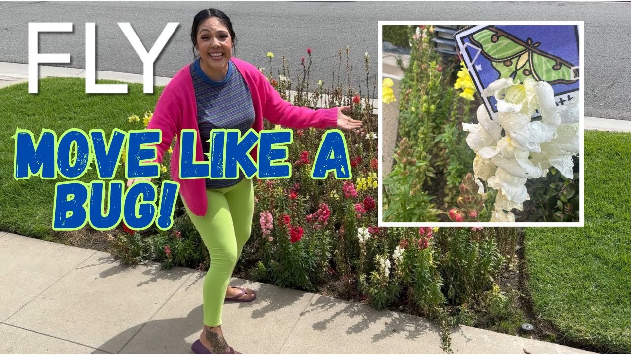 Move Like A Bug Movements - Bug Hunt - YouTube