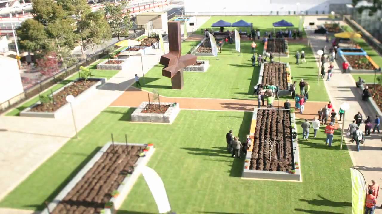 More Urban Orchard Planting Day - YouTube
