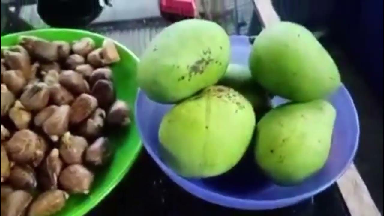 BUHAY BUNDOK/SHORT VIDEO/PHILIPPINES/Mommy chel channel - YouTube