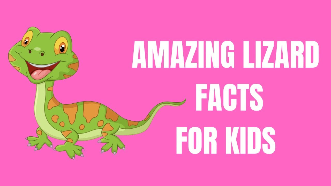 Amazing Lizard Facts For Kids YouTube amazing-lizard-facts-for-kids-youtube