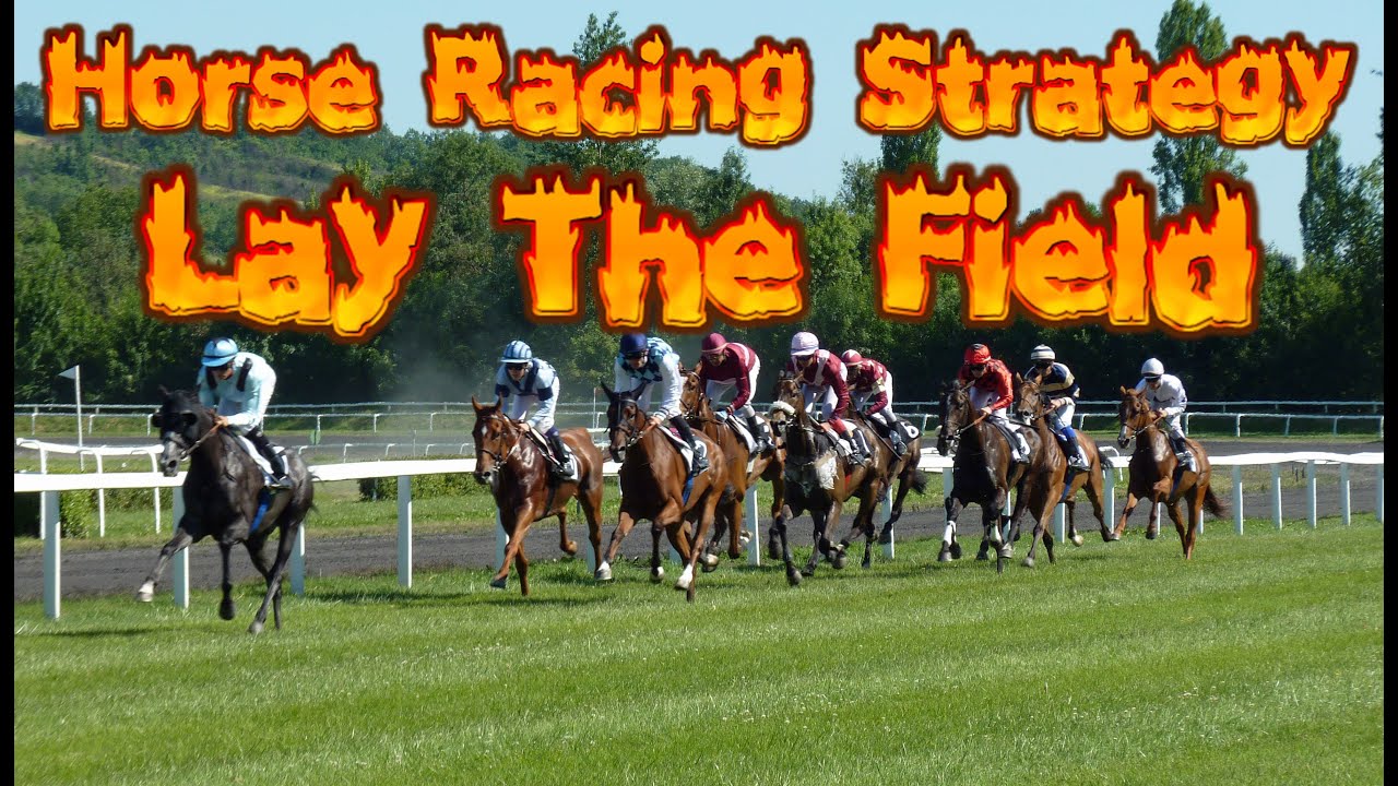 Lay The Field - Strategia FREE (GRATIS) su Horse Racing - YouTube