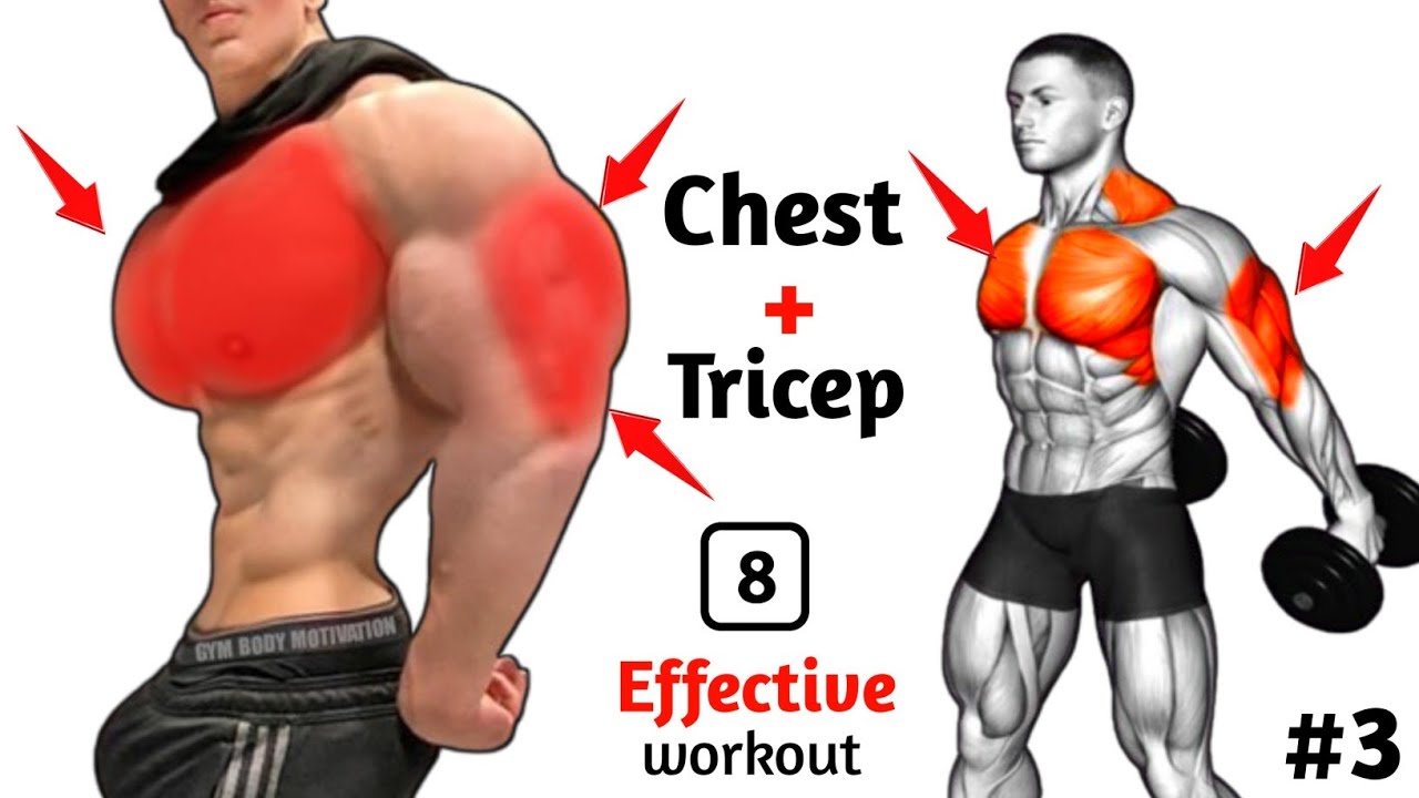 Day 3 Chest and Tricep workout ( 8 Effective workout ) - YouTube