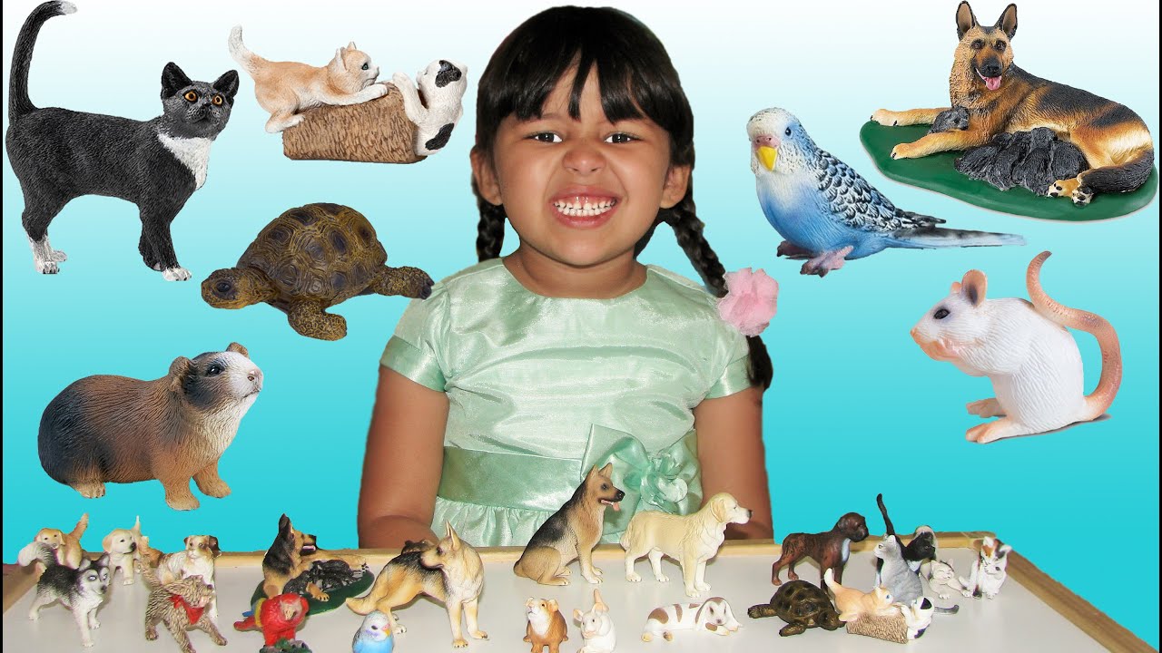 Pets Learn Animal Names and Sounds with Animal Toys Educational for ...