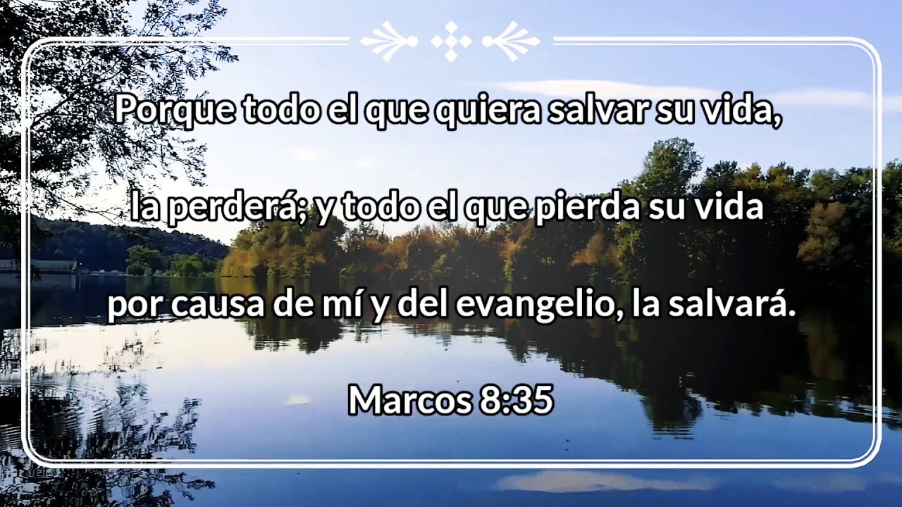 Versículo del día | Marcos 8:35 - YouTube