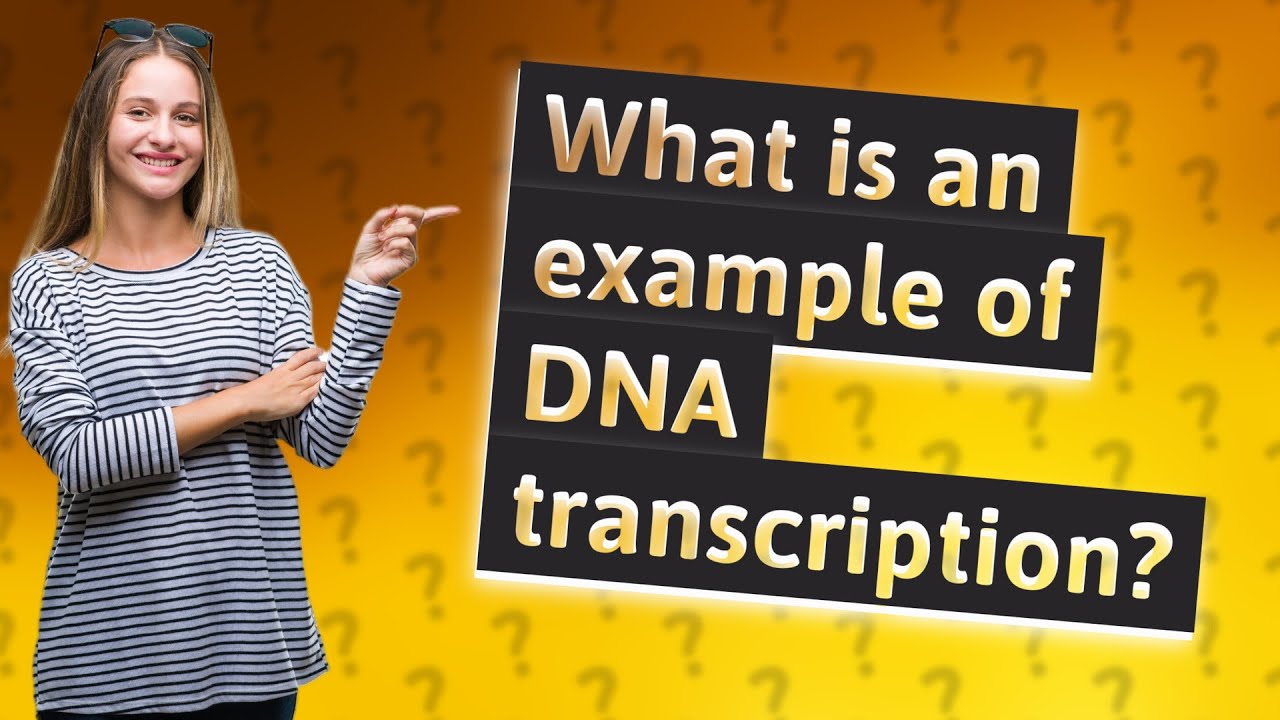 What is an example of DNA transcription? - YouTube