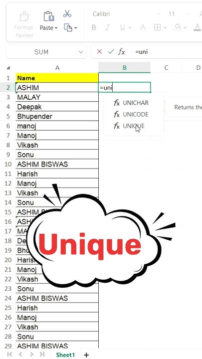 Excel UNIQUE & COUNTIF Function | Filter & Count Data Like a Pro! - YouTube