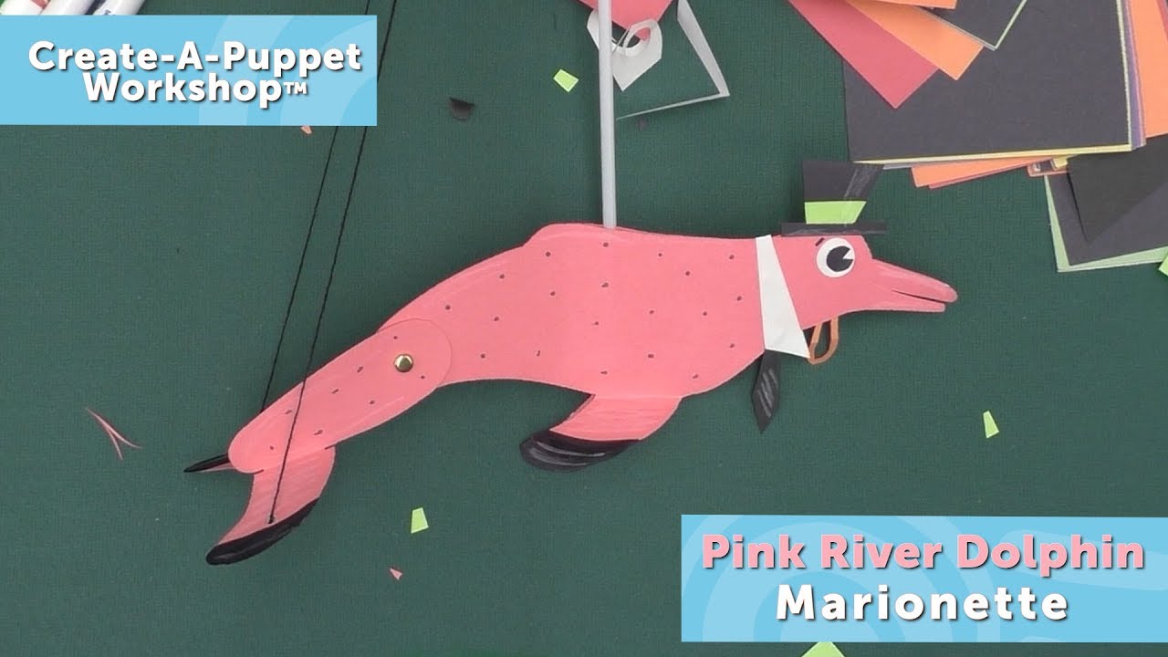 Create-A-Puppet Workshop: Pink River Dolphin Marionette - YouTube