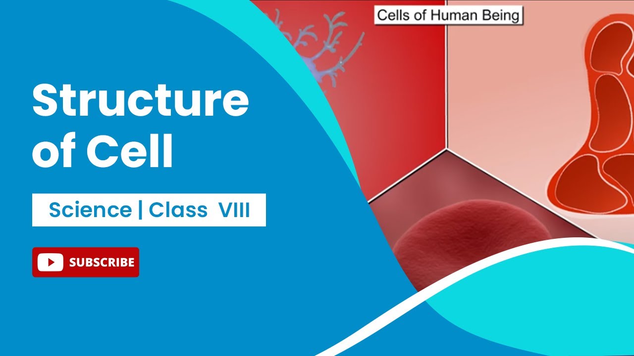 Structure of Cell | Biology | Class 8 - YouTube