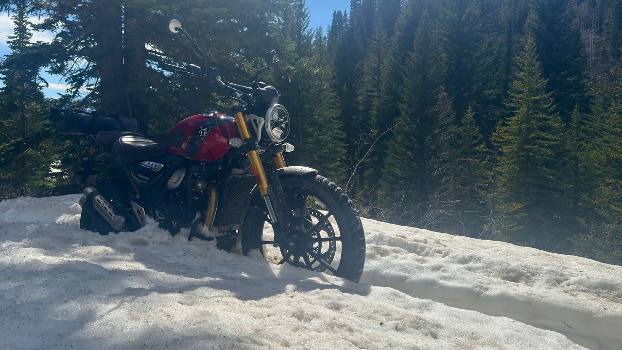 Early Spring in the Mountains | Triumph Scrambler 400 X - YouTube