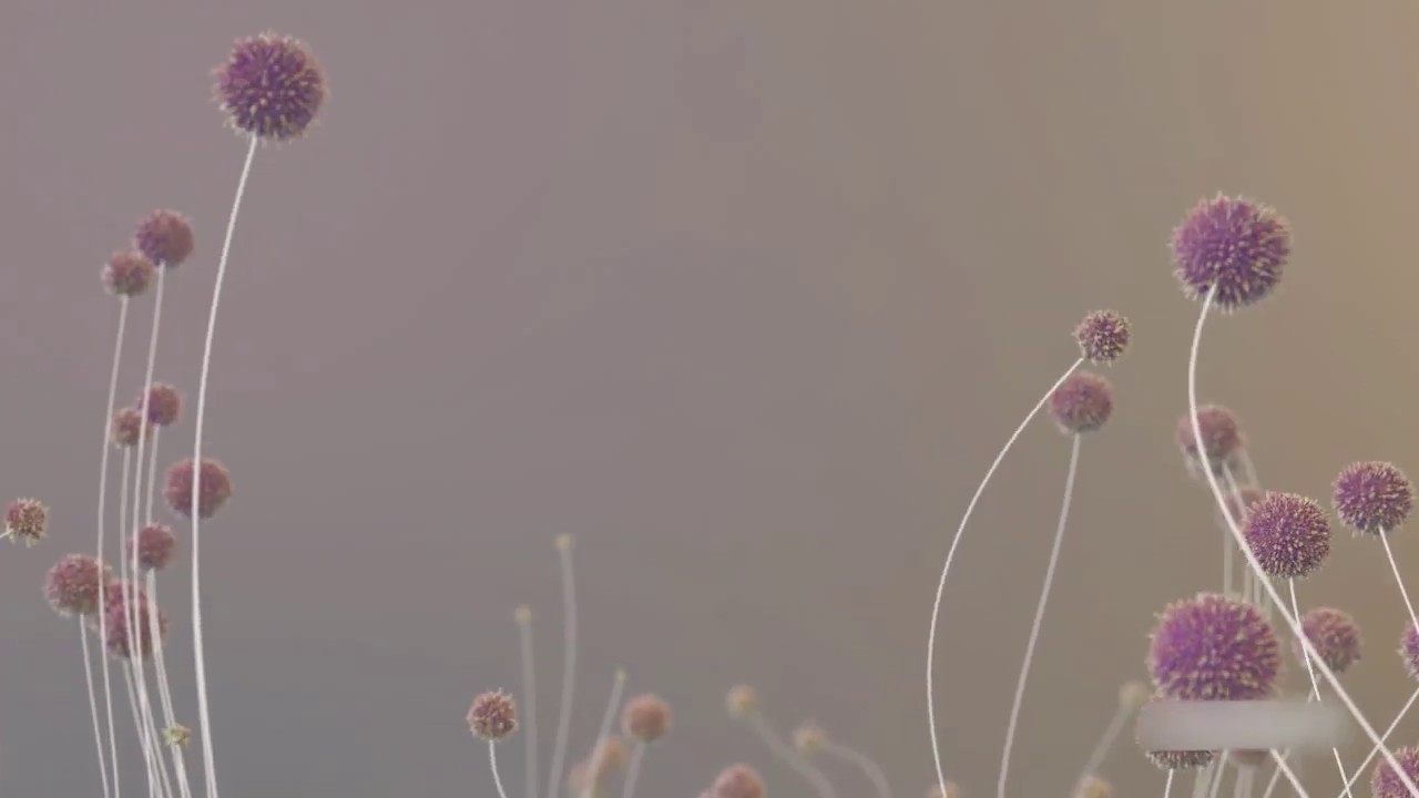FLOWERS in Houdini - YouTube