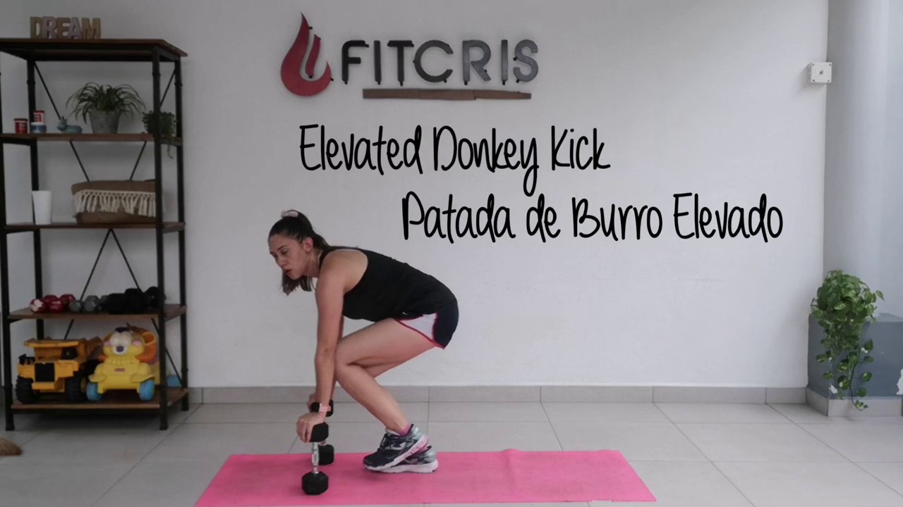 Elevated Donkey Kick / Patada de Burro Elevado - YouTube