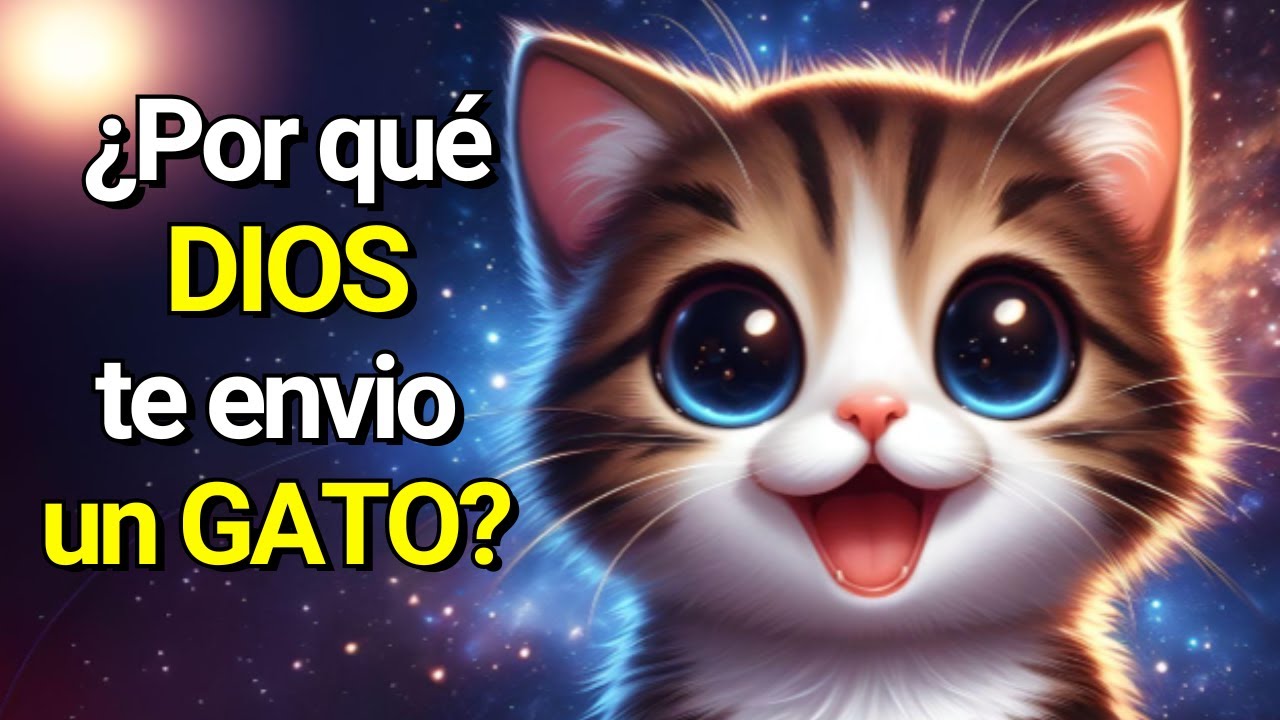 🐈 Descubre la ESPIRITUALIDAD de los Gatos ¿Por Qué DIOS Te Ha BENDECIDO ...