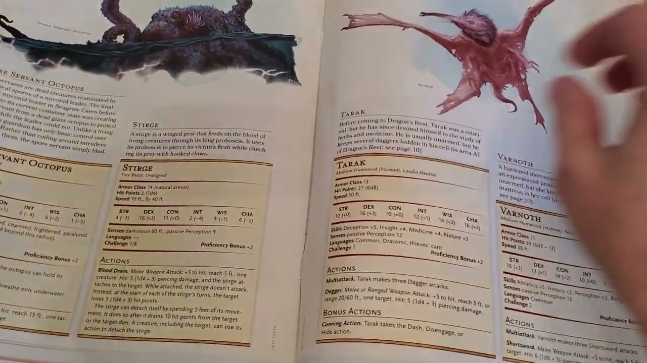 Dragons of Stormwreck Isle - Adventure Read Through [Chapter 2] - YouTube