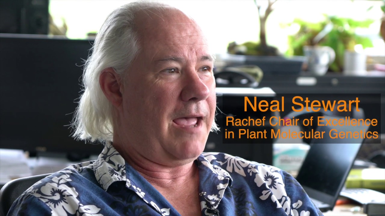 Ag Research Profiles: Neal Stewart - YouTube