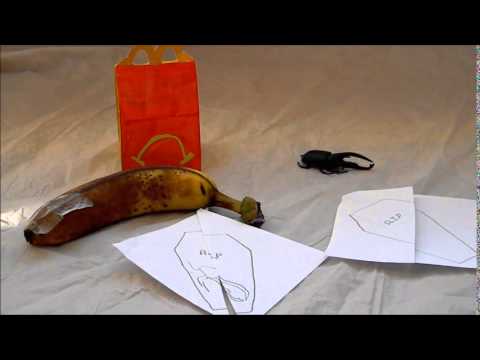 Sad Meal Commercial - YouTube