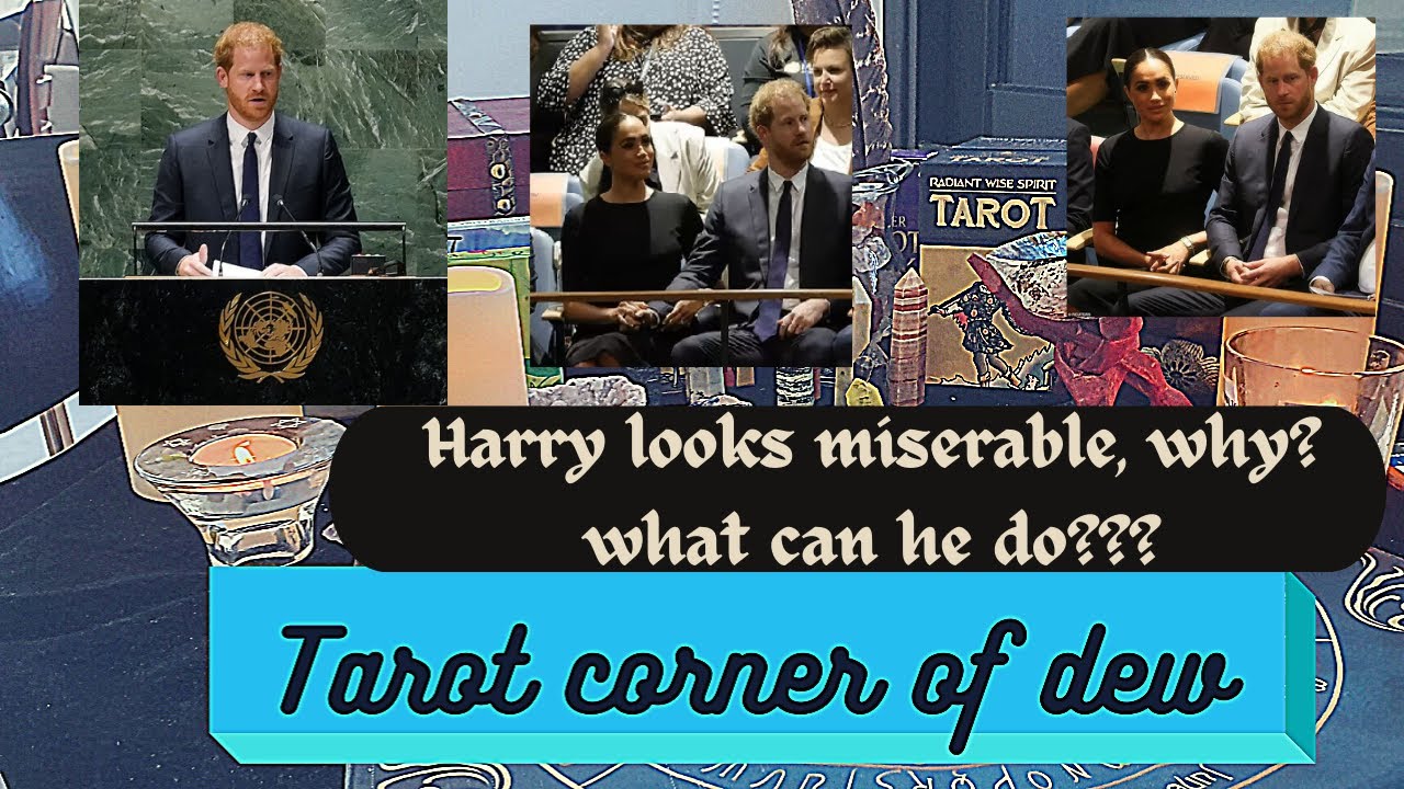 Harry looks miserable at UN speech, why? what can he do about it? - YouTube