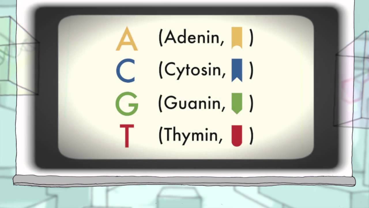Pimp you brain - Sequence analysis - YouTube