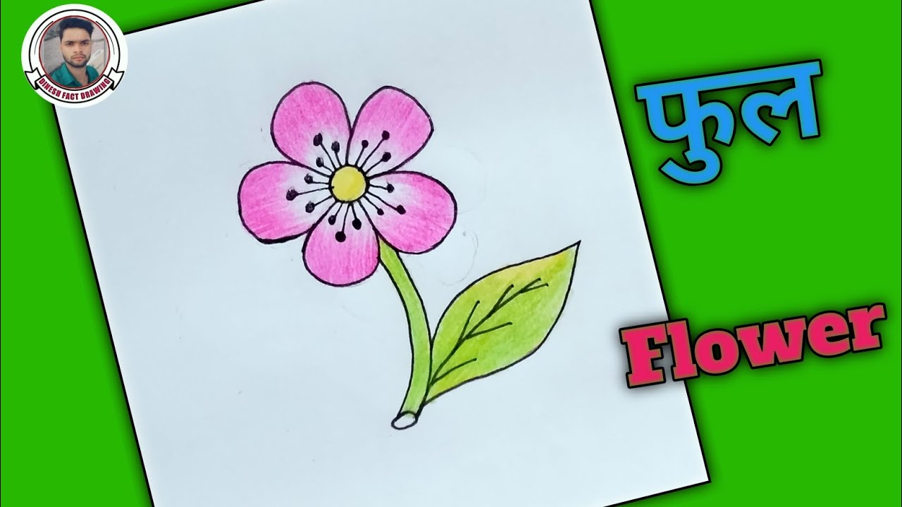 Flower easy Pencil sketch colour step by step kids drawing video ...