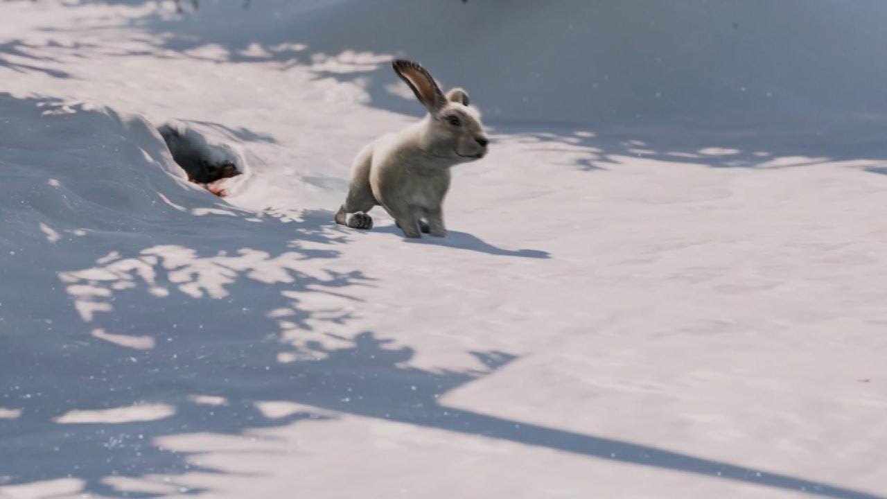 Silly Rabbit - YouTube