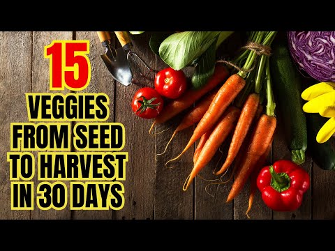 15 Fastest Growing Vegetables You Can Harvest In 30 Days (OR LESS)