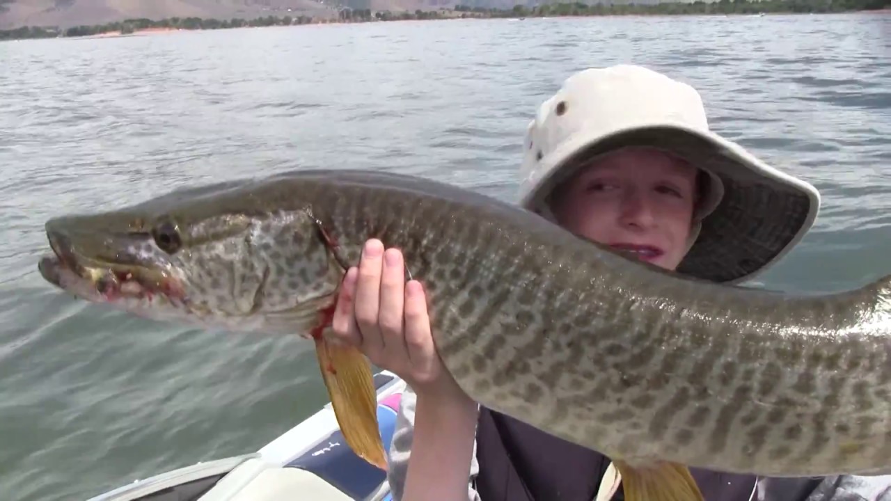 Fishing at Pineview and Willard Bay (NO AUDIO) - YouTube