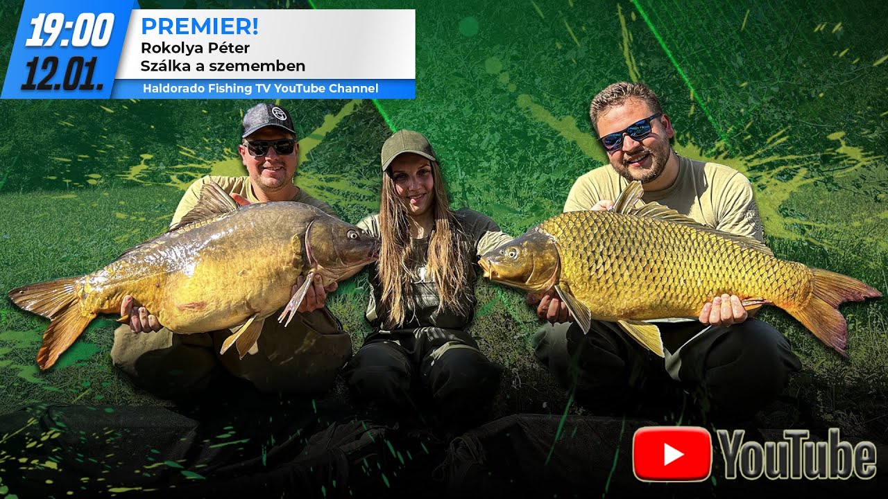Rokolya Péter - Szálka a szememben filmajánló - YouTube