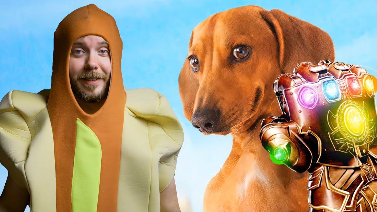 The Wiener Dog Cinematic Universe - YouTube