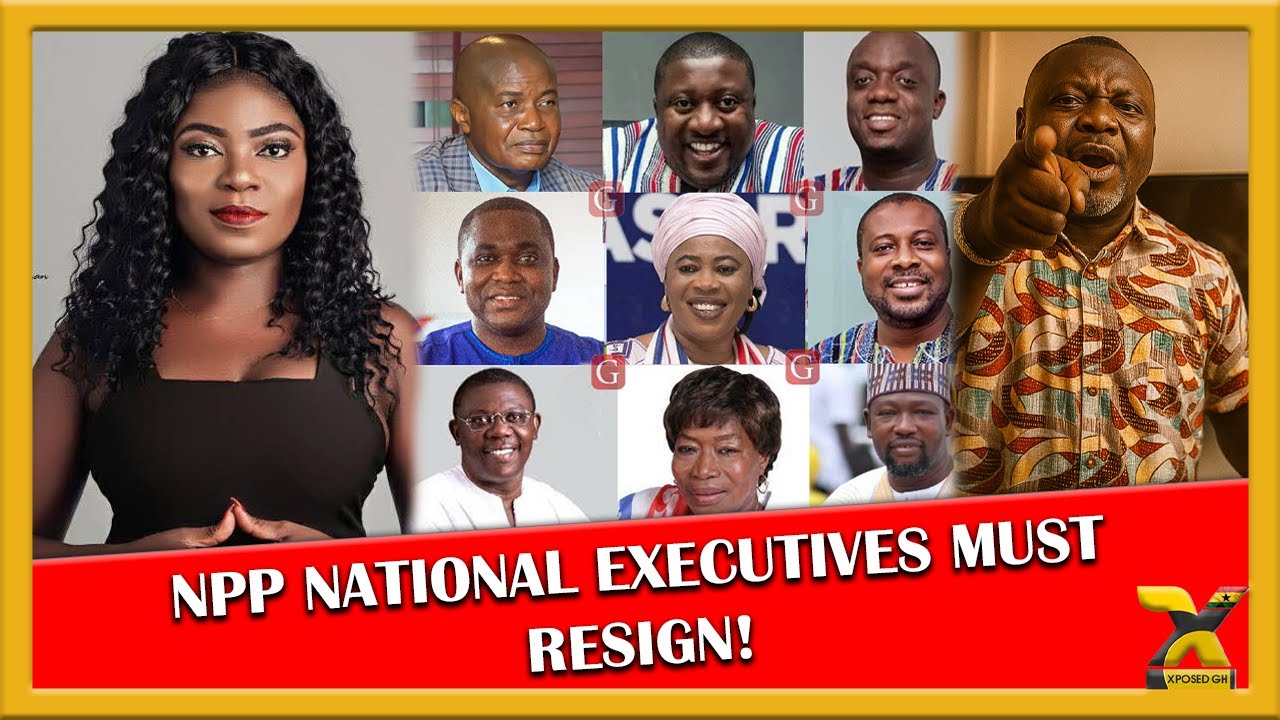 NPP National Executives Must Resign With Immediate Effect—Vim Lady ...