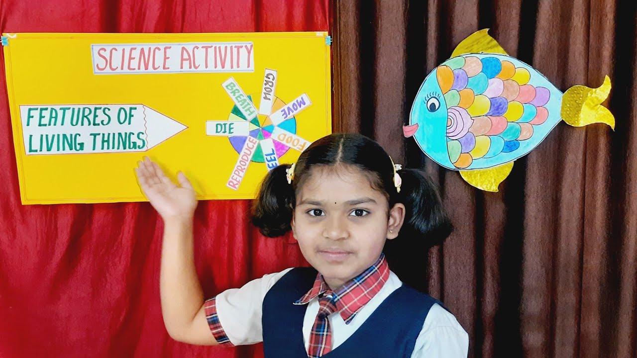 Features of living things/Science Activity/school project/Grade3 ...