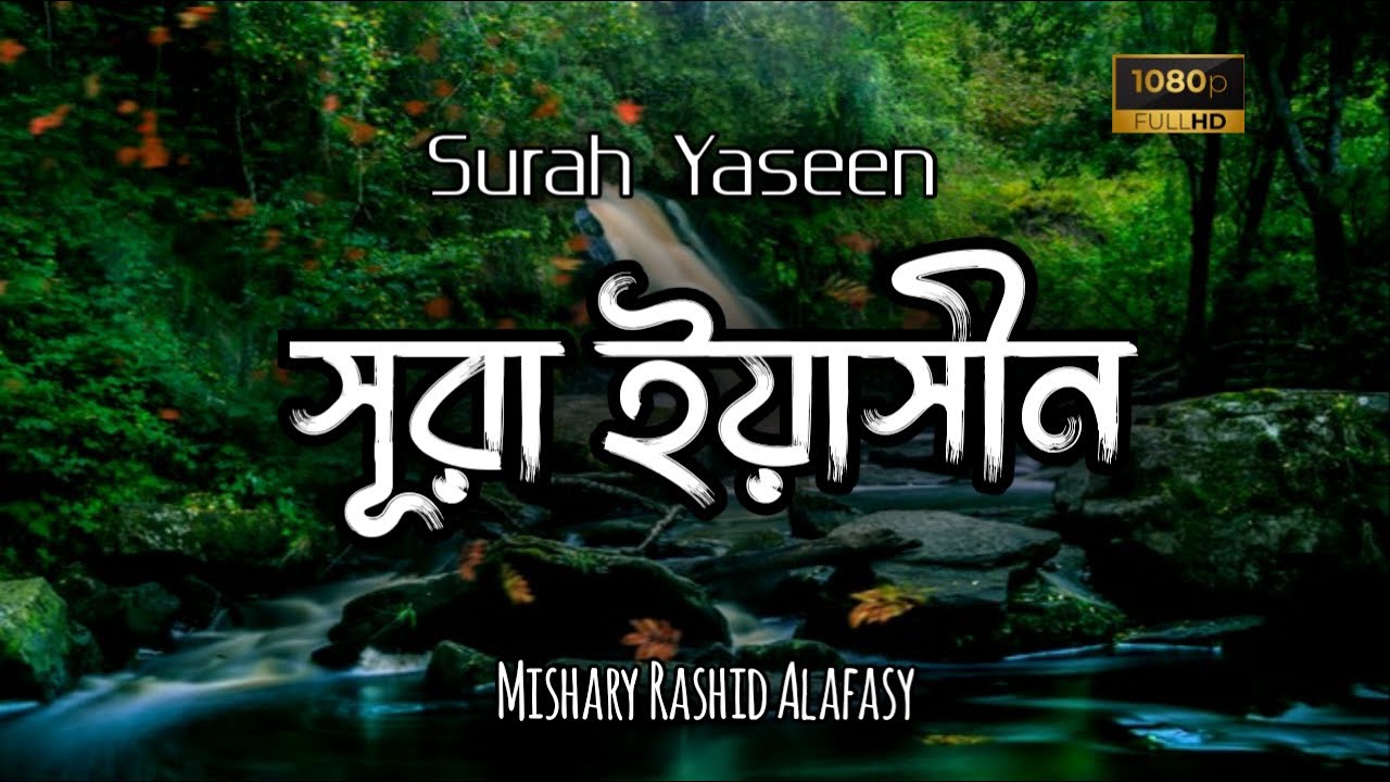স র ইয স ন Surah Yaseen Yasin Mishary Rashid Alafasy