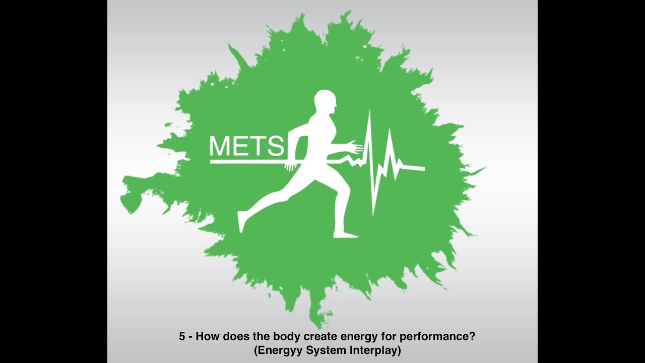 5 - THE METS MASTERMIND: How does the body create energy for ...