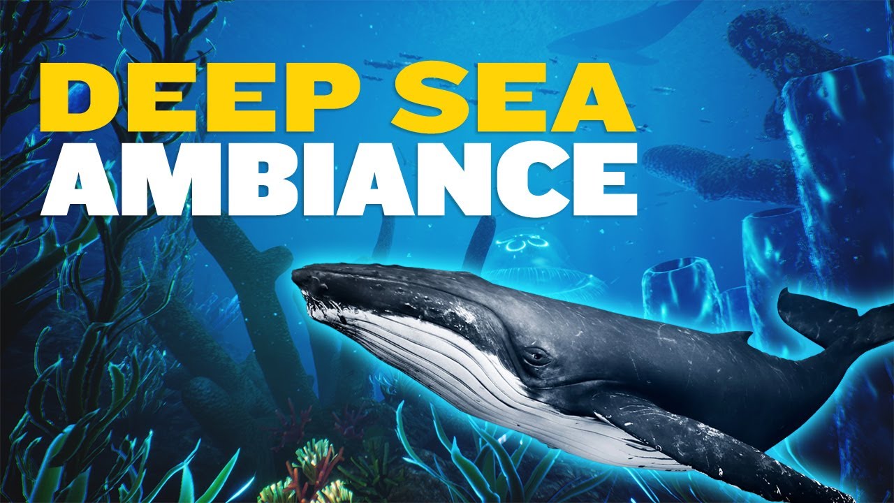 Deep Sea Ambiance - Whale Songs | ASMR/Stress Relief/Sleep - YouTube